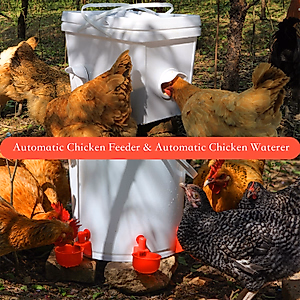 TUZIER Chicken Feeder No Waste Automatic Poultry Feeder Ports Kit and Waterer Set