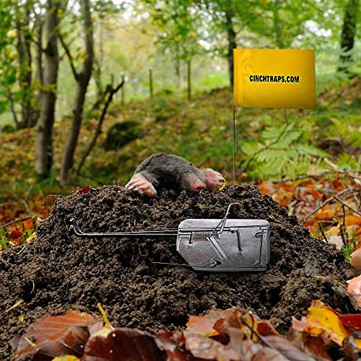 Cinch Mole Trap with Tunnel Marking Flag -Heavy-Duty, Reusable Trapping ...