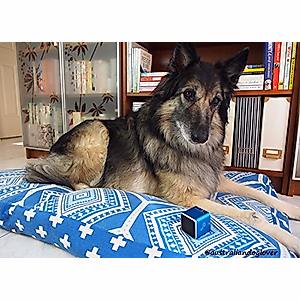 Pet Tunes Bluetooth Speaker Preloaded with Calming Canine Music