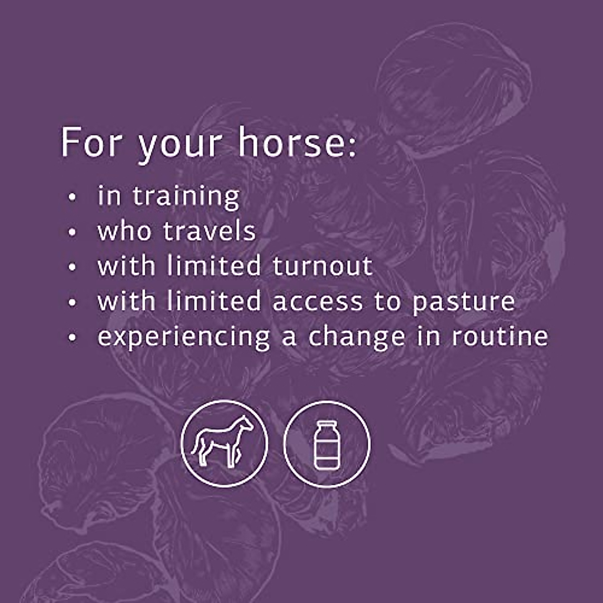 Standard Process Equine GI Support - Whole Food Horse Supplies for Digestive Health and Liver Support with Magnesium Citrate, Buckwheat, Sunflower Lecithin, Kale, Inulin, Brussels Sprouts - 30 Ounce