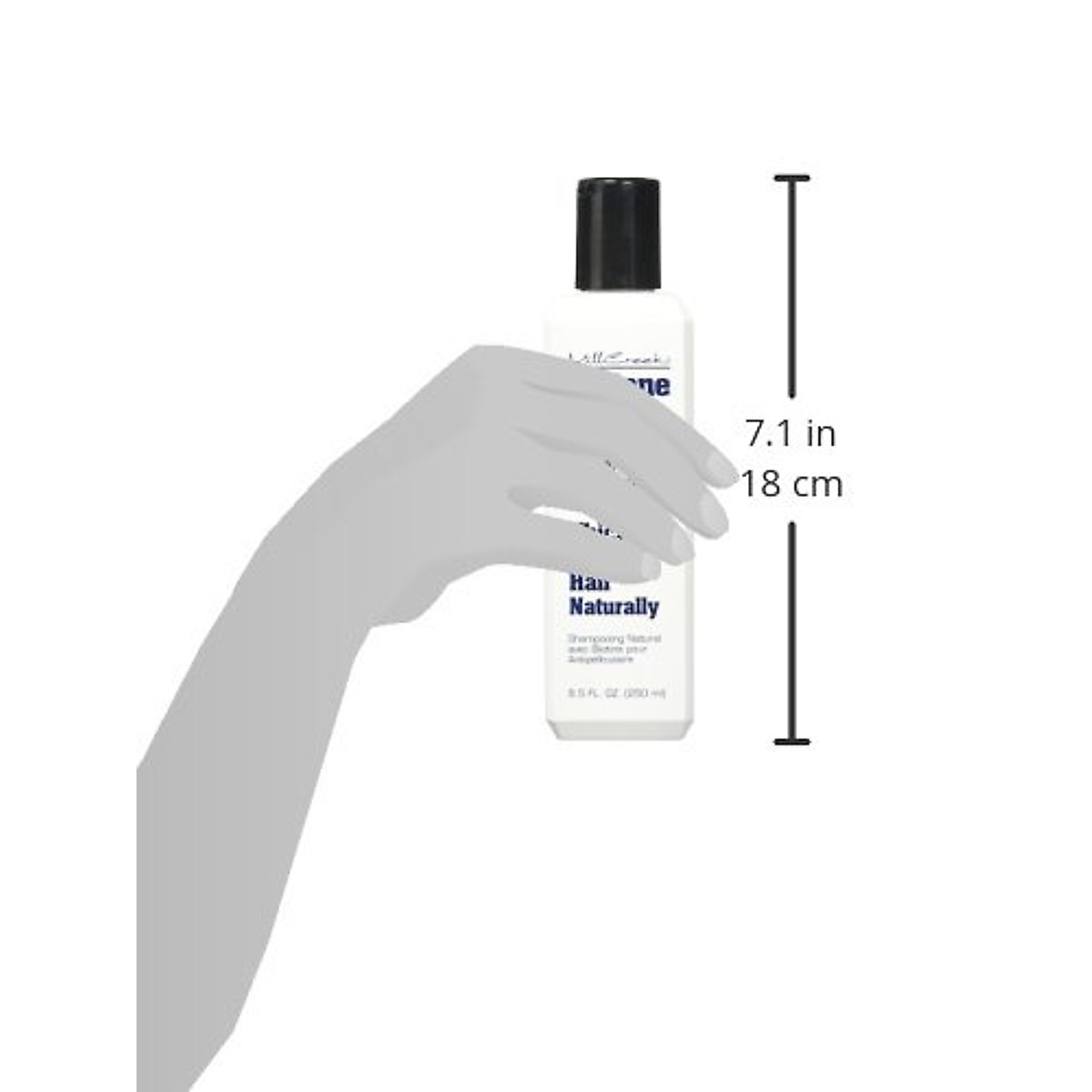 MillCreek Botanical Biotene H-24 Dandruff Shampoo, 8.5 Ounce