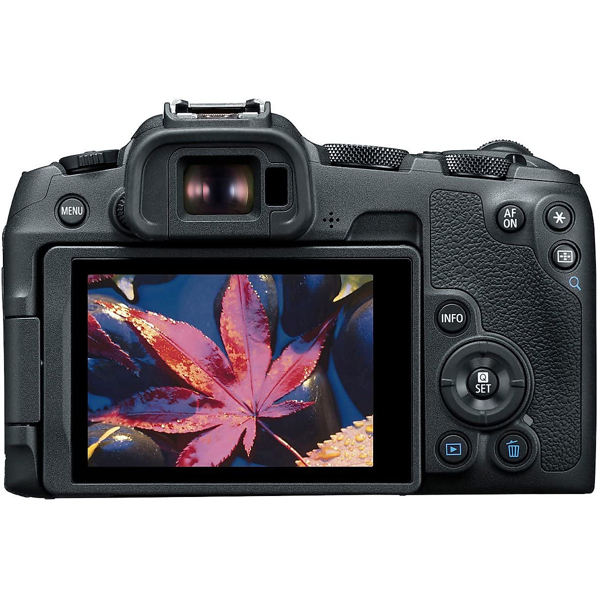 Canon EOS R8 Mirrorless Camera (Body Only) Enhanced with Professional Accessory Bundle - Includes 14 Items