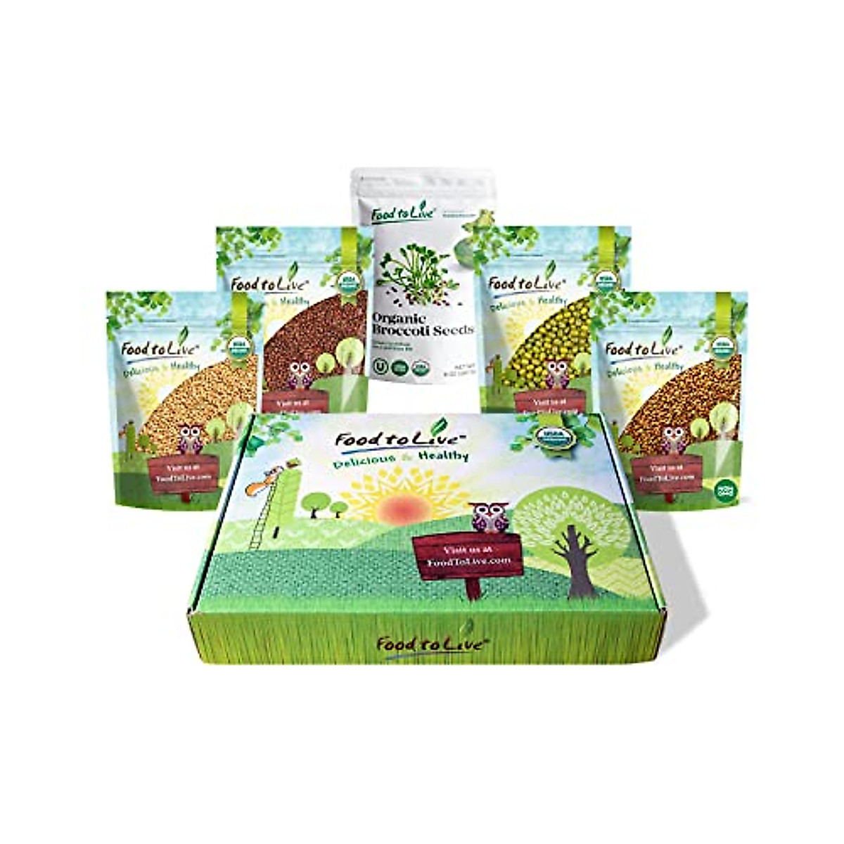 Organic Sprouting Seeds in a Gift Box - A Variety Pack of Broccoli Seeds, Alfalfa Seeds, Radish Seeds, Mung Beans, Clover Seeds