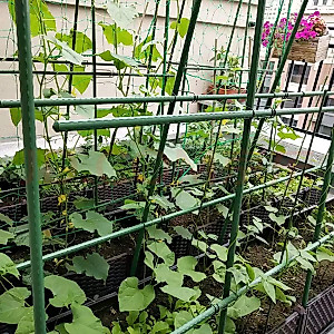 Kogrew 7Feet 25Pcs Plant Stakes Garden Tomato Sticks Supports for Potted Cucumber Strawberry Bean