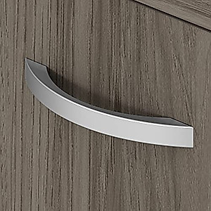 Bush Business Furniture Studio C Low Storage Cabinet with Doors and Shelves, Modern Hickory