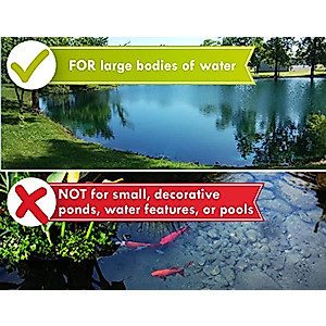 Pond Worx Blue Lake and Pond Dye - 4X Concentrated Liquid Pond Colorant – Shades and Protects Your Pond, Treats up to 1 Acre –1 Quart