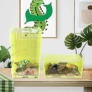 Reptile Terrarium,Vertical Acrylic Tarantula Enclosure Breeding Tank,Aquarium Breeding Tank 5" x 4" x 8"for Invertebrates and Small Tree Dwelling Reptiles,Mantis, Cricket,Snails,Frog-Fluorescent Green