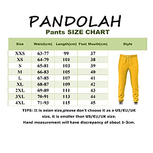 Pandolah Adult Sweatshirt Print Hoodie Casual Hoodie Anime Unisex Pullover(z-10, 2XL)
