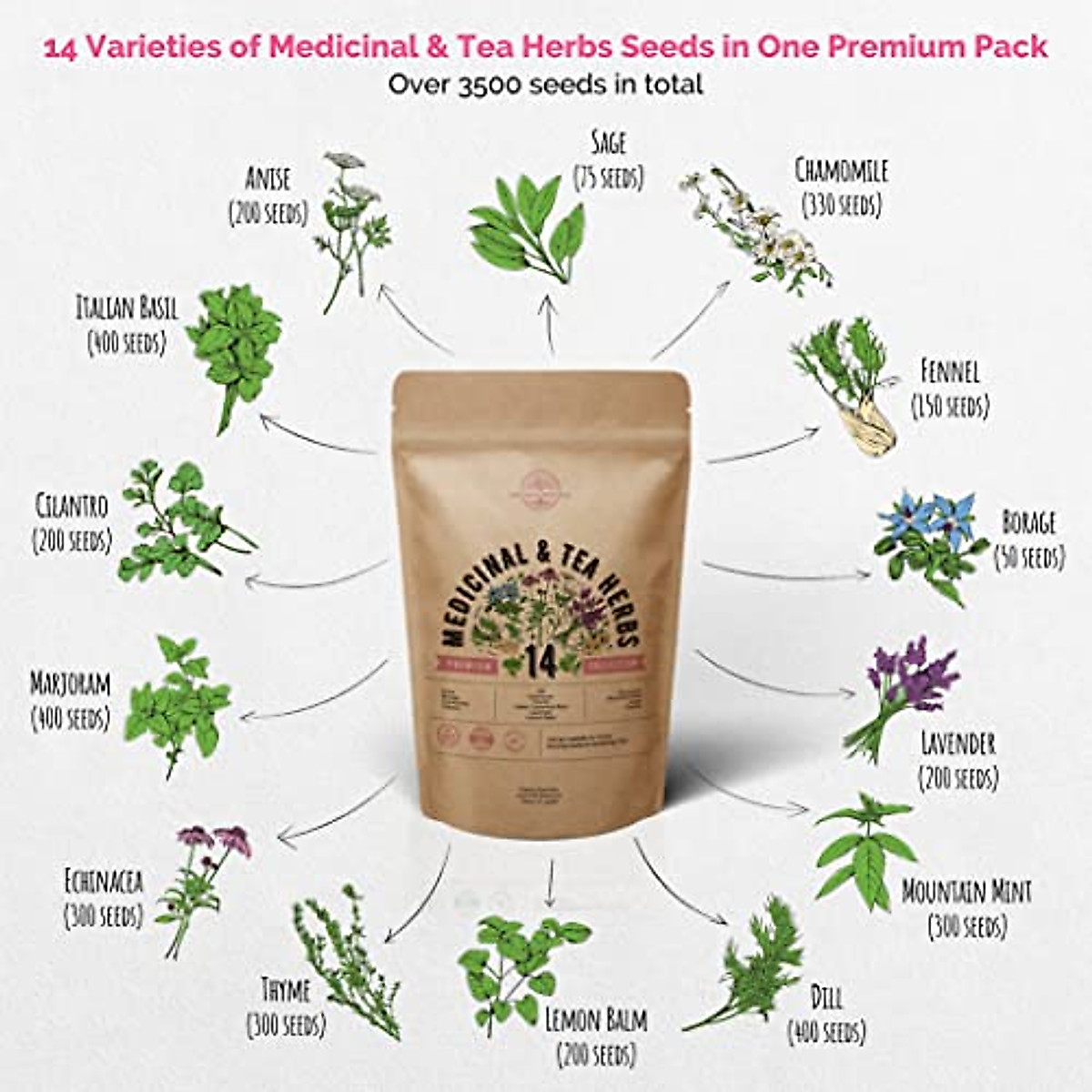 14 Medicinal & Tea Herb Seeds Variety Pack for Planting Indoor & Outdoors. 3500+ Non-GMO Heirloom Herbal Garden Seeds: Anise, Borage, Cilantro, Chamomile, Echinacea, Rosemary, Lavender Seeds & More