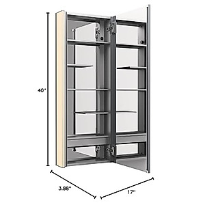 KOHLER K-81147-SLE-DA1 Maxstow Medicine Cabinet with LED Light, Mirror Door & Staggered Shelves, Rectangular Frame, 17" x 40"