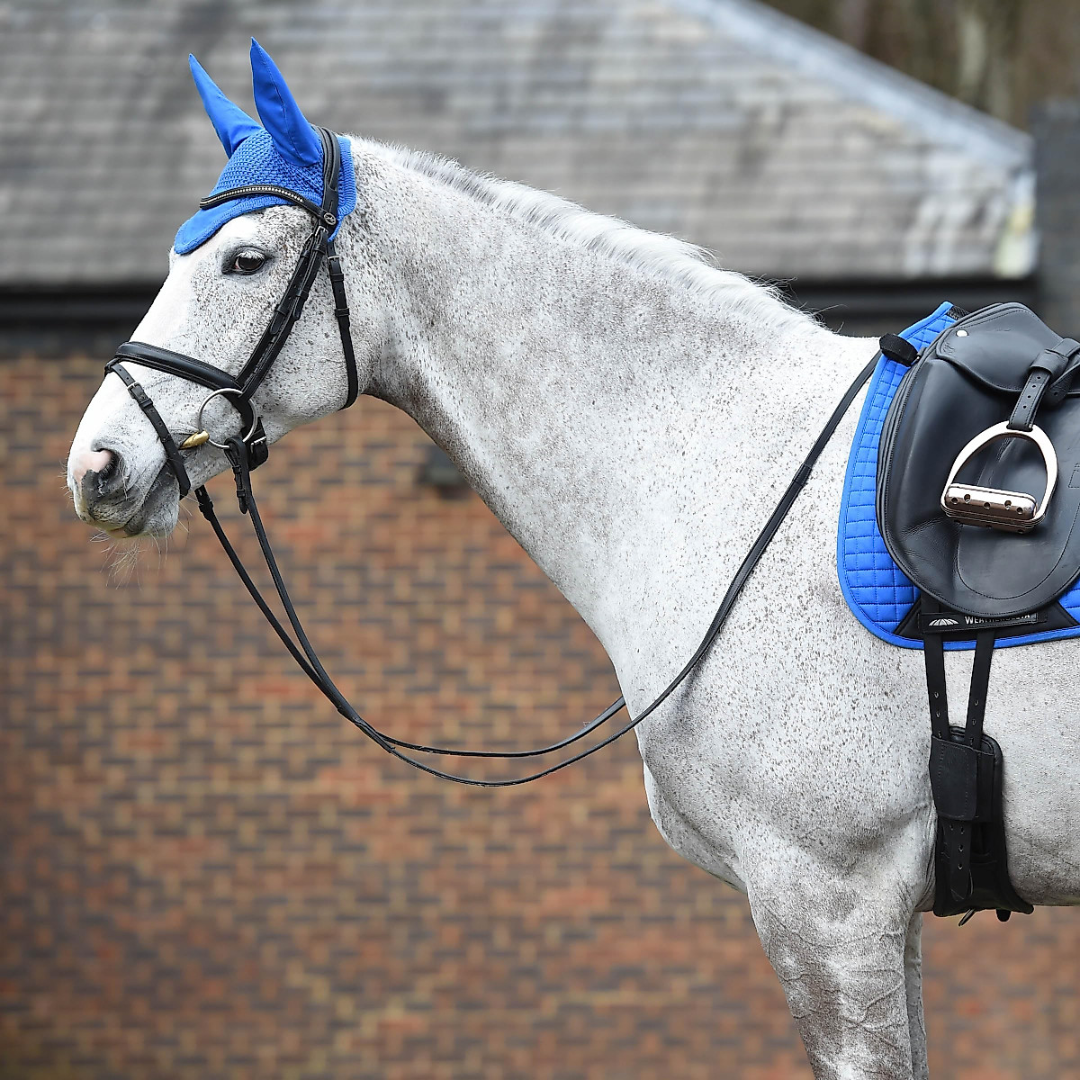 Weatherbeeta Prime Dressage Saddle Pad, Royal Blue, Full
