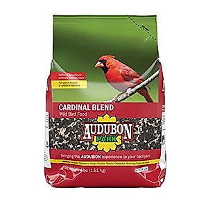 Audubon Park Cardinal Blend Wild Bird Food, Cardinal Bird Seed for Outside Feeders, 4-Pound Bag