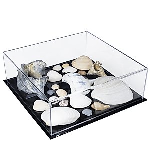 Better Display Cases Versatile Acrylic Clear Display Case - Medium Rectangle Box with Black Base 12" x 12" x 4" (A030B-BDS)