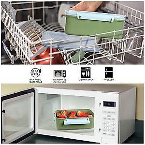 Shopwithgreen Set of 3 Salad Food Storage Container To Go, School & Travel,Food Prep Storage Containers with Lids (Khaki Green&Khaki Green&Khaki Green)