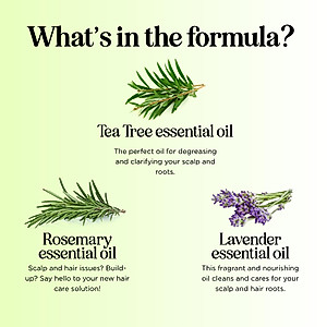 Clarifying Shampoo for Build Up & Oily Hair - Tea Tree Shampoo for Men and Women with Rosemary Essential Oil for Oily Hair and Scalp - Color Safe Vegan Sulfate Silicone & Paraben Free (8 Fl Oz)