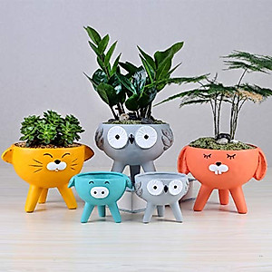 Happyyami 1pc Dino Flower Pot Cactus Planter Pot Animal Flower Pot Ceramic Earring Holder Animal Planter Pot Animal Ring Holder Ceramic Succulent Pots Bonsai Plant Vase Mini Flower Pot Stand