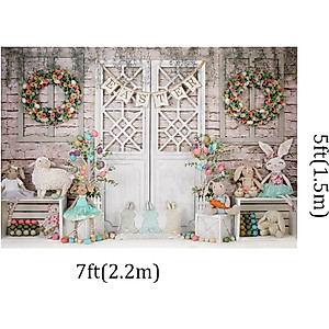Kate 7x5ft Spring Happy Easter Day Photography Backdrops Colorful Eggs Cute Rabbit Toy Photographic Background Retro Gray Wall White Door Baby Shower Newborn Shooting Backdrop
