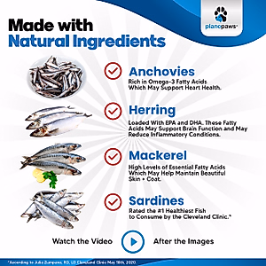 Omega 3 Fish Oil for Dogs - Better Than Salmon Oil for Dogs - Dog Fish Oil Supplement - Reduce Shedding & Itching - Supports Joints, Brain, Heart Health- Dog Skin and Coat Supplement - Fish Oil Liquid