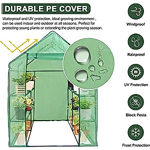 BBBuy 2-Tier Mini Greenhouse 8 Shelves Garden Plant Flower House Grow Tent Indoor Outdoor with PE Cover and Roll-Up Zipper Door Greenhouse, Grow Plant Herbs Flowers Warm House