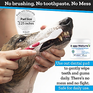 Pet Health Pharma Truclens Dental Wipes fro Cats and Dogs (50 Count)…