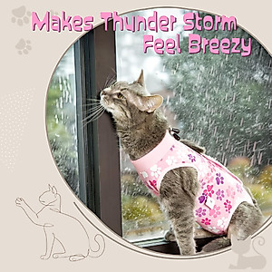 Cat Recovery Suit: Pink Cat Surgery Recovery Suit Female w/Paw Print Design - Elastic, Soft & Breathable Cat Recovery Suit for Spay - Washable Cat Surgery Suit for Post-Operative Healing Process.