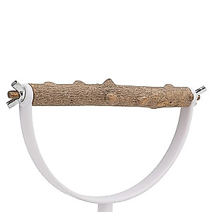 Parrots Stand, Portable Desktop Bird Playstand Parrots Training Stand for Parakeets Cockatiels Lovebirds Bird Training Stand Table Top Bird Perch Bird Playground Bird Stand Parrot Perch Stand