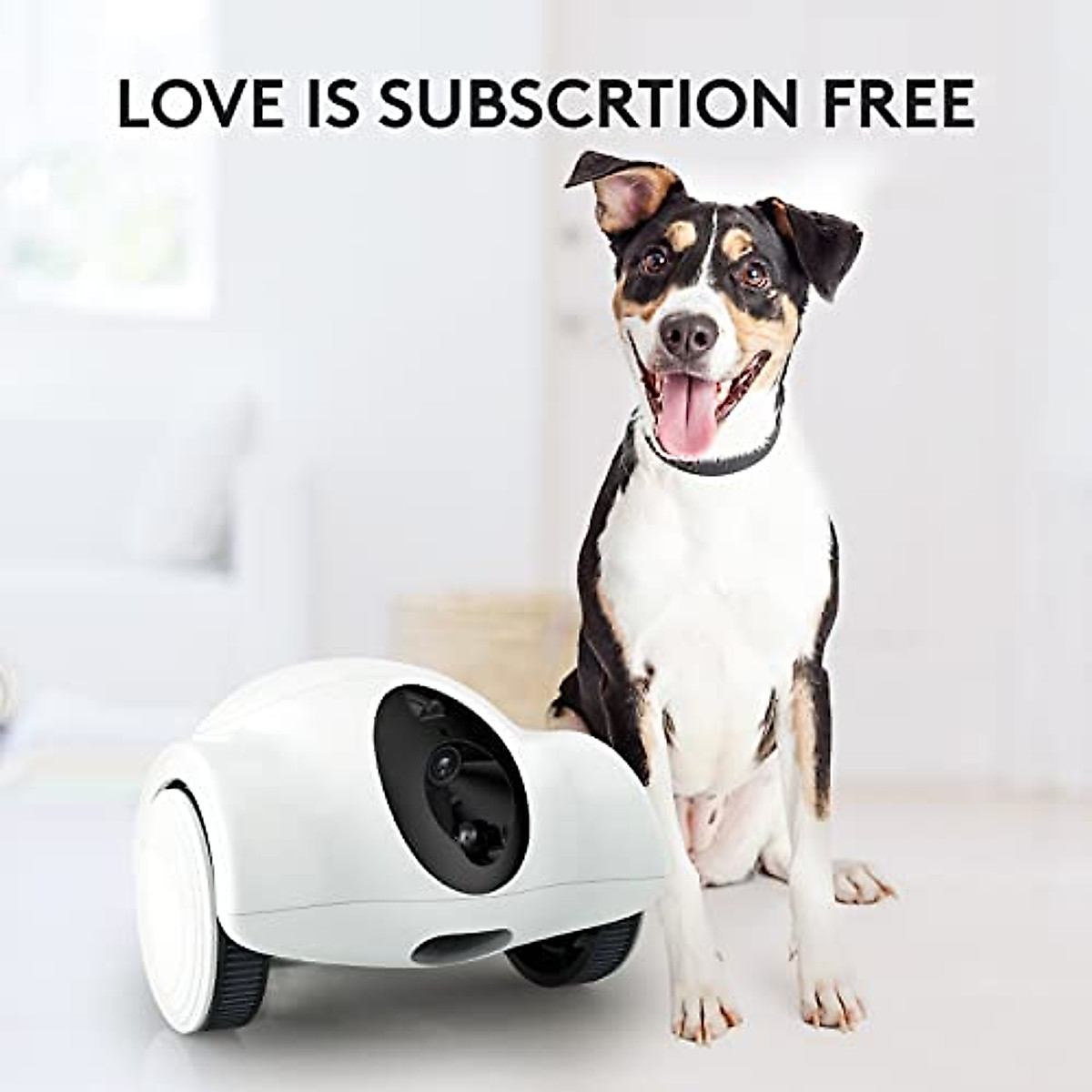 Smart Pet Camera, GULIGULI Movable Companion Robot for Pets, Dog Treat Camera, 1080P Full HD WiFi Pet Camera with Phone App, Night Vision, 2-Way Audio, No Monthly Fee (2.4G WiFi ONLY)