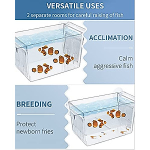 Pawfly Aquarium Fish Breeding Box Acrylic Hatchery Incubator Tank with Suction Cups Small Isolation Box for Baby Small Fish Shrimp and Betta