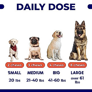 Omega 3 Alaskan Fish Oil Treats for Dogs (180 Ct) - Dry & Itchy Skin Relief + Allergy Support - Shiny Coats - EPA&DHA Fatty Acids - Natural Salmon Oil Chews Promotes Heart, Brain, Hip & Joint Support