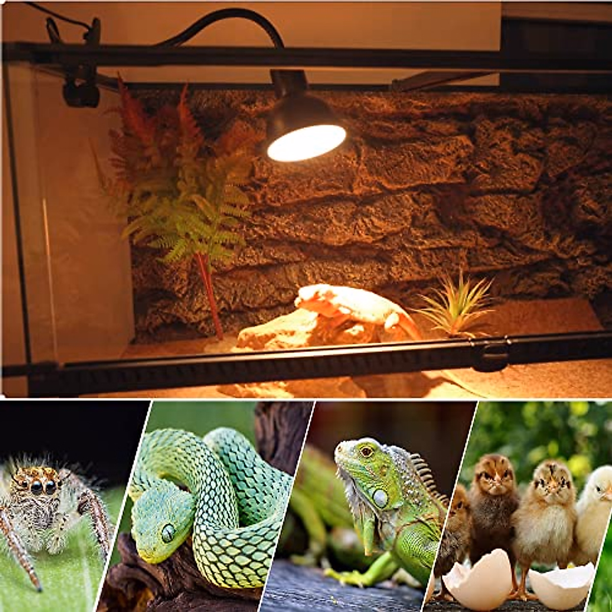 Makmzoon Reptile Heat Lamp, UVA UVB Turtle Light Bulb*2 Reptile Light Fixture with 360° Rotatable Hose and Timed Suitable for Turtle Reptile Plant (2 Pack 50w Bulb)