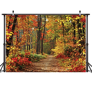 LYWYGG 10x8ft Autumn Backdrop Fall Scenery Background Vinyl Yellow Fall Leaves View Photography Backdrop Photo Studio Props CP-67-1008