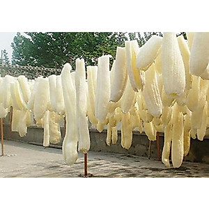 MAYMII·Home 100% Large (5" Length) Nature 6 Pack of Organic Loofahs Loofah Spa Exfoliating Scrubber Natural Luffa Body Wash Sponge Remove Dead Skin Made Soap