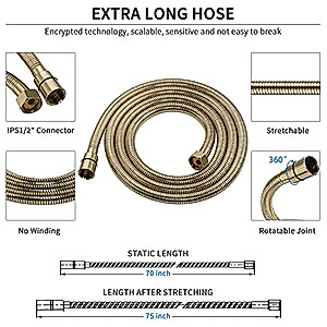 G-Promise Luxury High Pressure 5“ Face 6 Setting Detachable Handheld Shower Head with Extra Long Flexible Metal Hose(70” Stretches to 75”), Adjustable Metal Holder, Polished Brass Finish (2.5GPM)