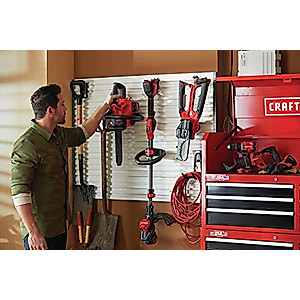 CRAFTSMAN V20* Cordless Chainsaw, 12-Inch (CMCCS620M1)