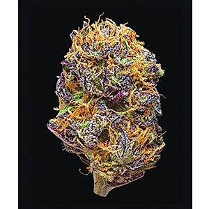 Green: A Field Guide to Marijuana: (Books about Marijuana, Guide to Cannabis, Weed Bible)