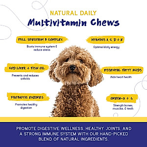PupGrade 2-Pack Skin & Coat and Daily Multivitamin for Dogs - Coat Care & Allergy Defense Supplement with Natural Fish Oils - All-in-One Supplement - 90 Chews
