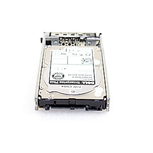 Dell EqualLogic 300GB 10K 6Gb/s 2.5" SAS HD 9TE066-157 ST9300605SS 6PC6J W6J6V (Renewed)