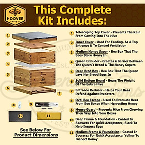 Hoover Hives 8 Frame Langstroth Beehive Dipped in 100% Beeswax Includes Wooden Frames & Waxed Foundations (1 Deep Box, 1 Medium Box)
