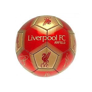 Liverpool FC Signature Mini Football (One Size) (Red/Gold)