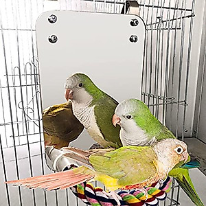 Hamiledyi 7 Inch Bird Mirror with Rope Perch,Parakeet Cage Mirror Parrot Swing Toys for Greys Cockatoo Cockatiel Conure Lovebirds Canaries