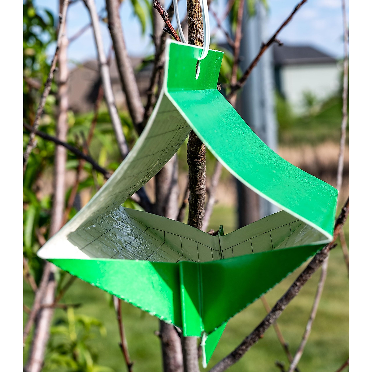 VivaTrap VT-105 Peach Tree Borer + Clearwing Moth Trap & Lure (2 Pack, 8 Week)