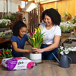 Glee Potting Mix – Lightweight, Compact Potting Soil for Growing Indoor and Outdoor Plants | Expands to 25 qt. from 0.4 to 1 cu ft (One Pack)