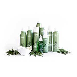 Surface Hair Blow Out Dry Shampoo Foam for Men and Women, 4oz - Lightweight, Organic, Style Memory with Babassu Oil - Absorb Excess Oil - Refresh for Long Lasting Style, 4 fl. oz.