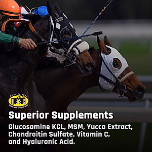 Majesty's Flex Wafers - Superior Horse / Equine Joint Support Supplement - Glucosamine, MSM, Chondroitin, Yucca, Vitamin C - 60 Count (2 Month Supply)