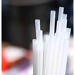 100 Compostable Straws (100)