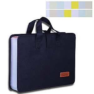 Antner 13 Pockets Expanding File Folder Document Organizer with Handle, Large Capacity Accordian File Organizer Portable A4 Letter Size File Folders for Office, Business, School or Home, Black