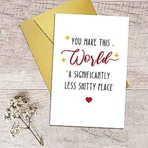 Qiliji Funny Best Friend Birthday Card, Thinking of You Card, Thank You Card for Him Her, Appreciation Card, You Make This World A Significantly Less Shitty Place