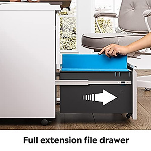 DEVAISE 2-Drawer Mobile File Cabinet with Lock, Commercial Vertical Cabinet, White