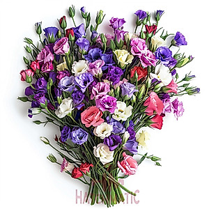 Lisianthus Seeds for Planting, Lisianthus Flower Seeds, Vibrant Blooms for Garden & Bouquets, Easy-to-Grow Variety (Pack of 100 Seeds) (Mixed)