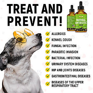 Antibiotic for Dogs | Dog Antibiotic | Antibiotics for Dogs | All Natural Antibiotics | Pet Antibiotics | Organic Ingredients | 2 oz